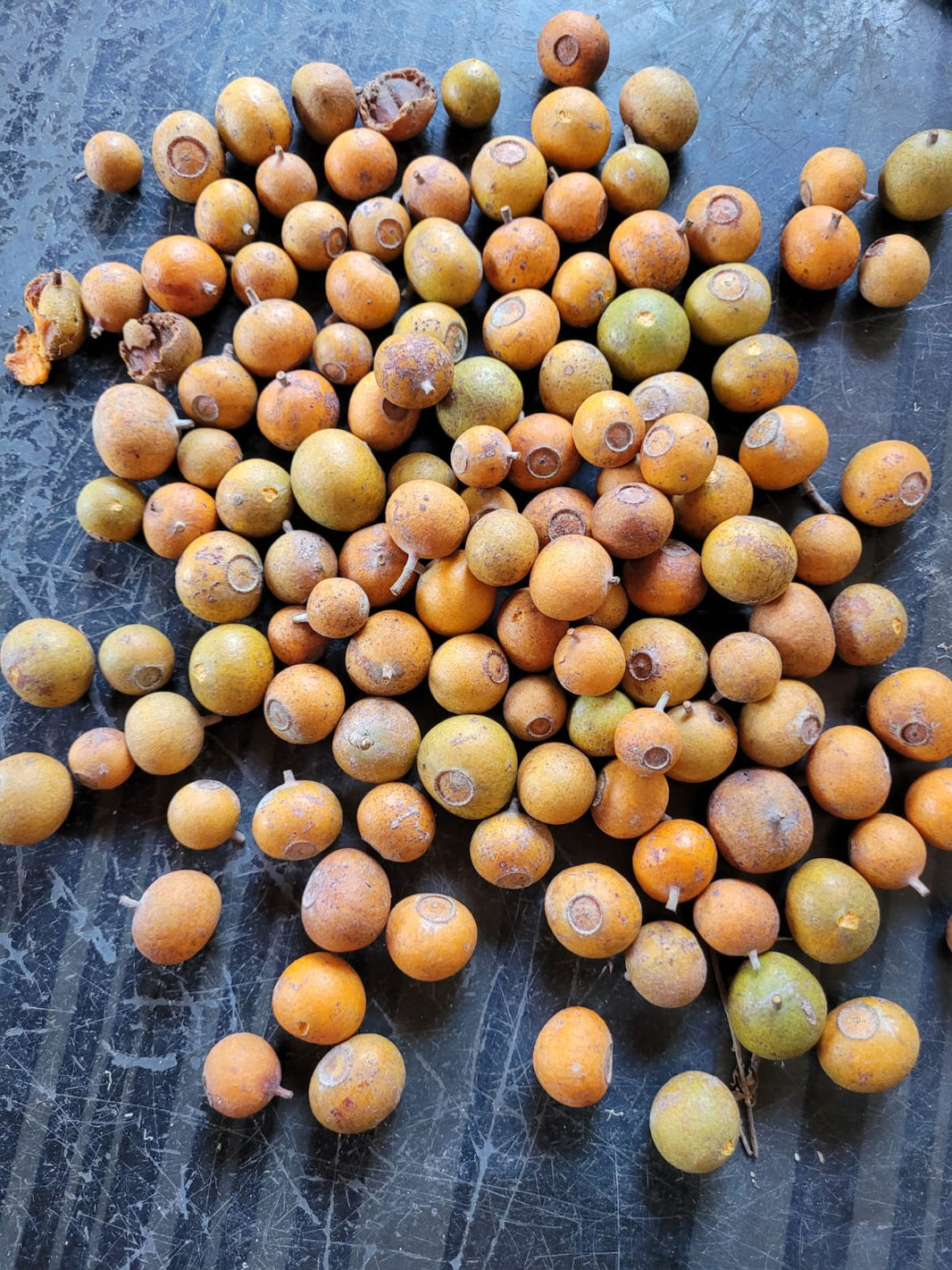 Other – AT Shipping