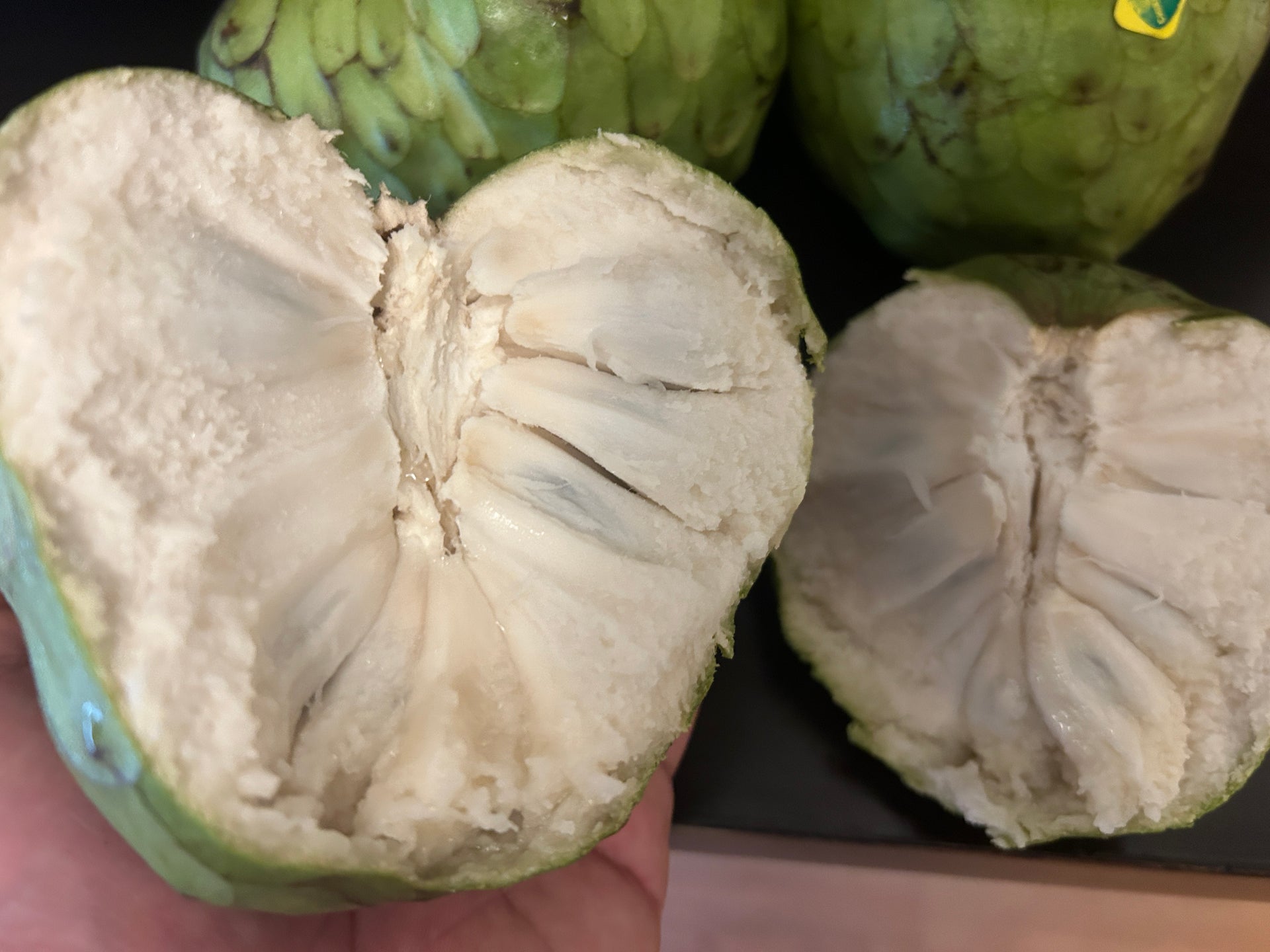 How To Grow A Cherimoya Tree From Seed